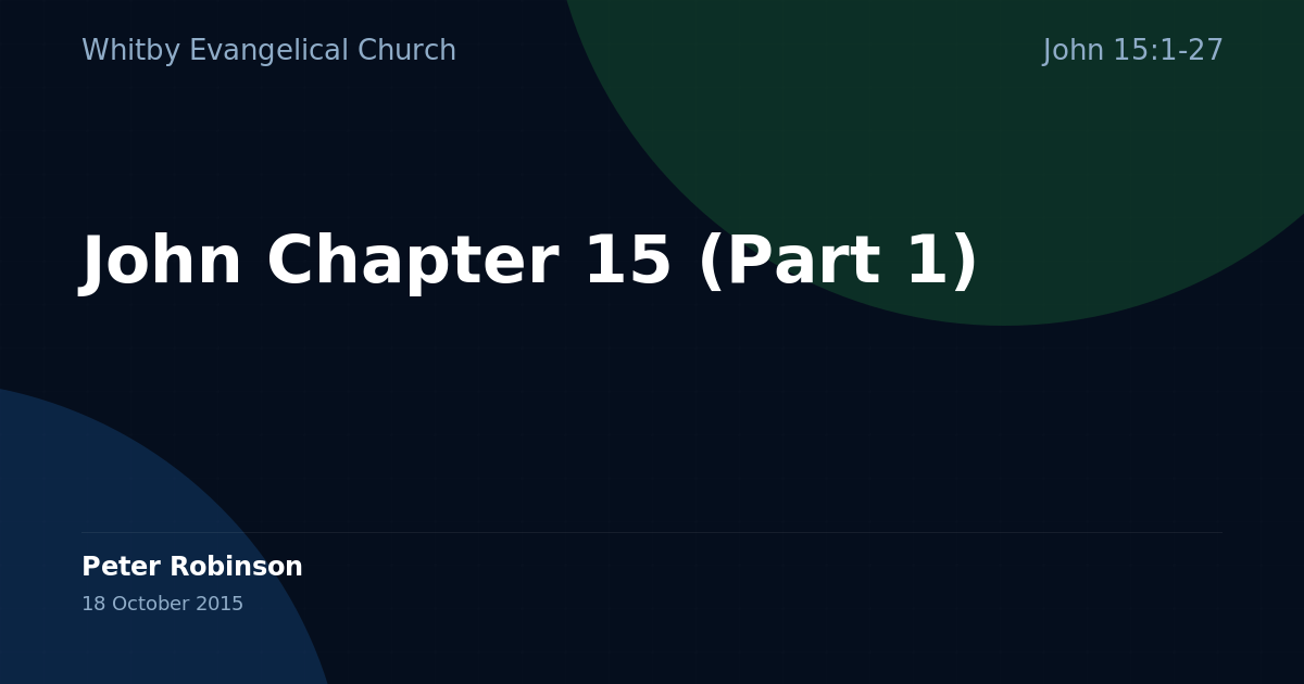John Chapter 15 (Part 1)